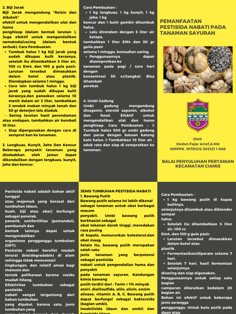 Deden Leaflet Pesnab | PDF