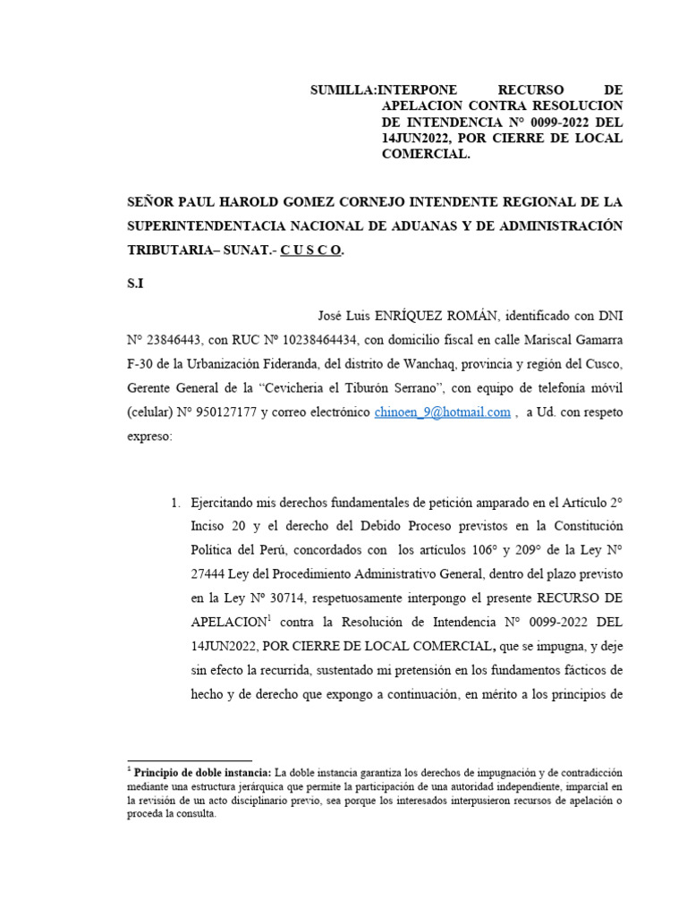 Recurso de Apelacion Sunat | PDF | Debido al proceso | Apelación