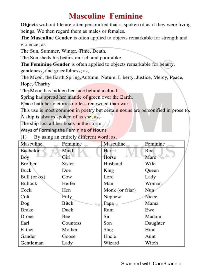 Masculine Feminine Singular Plural For SST CT TT | PDF
