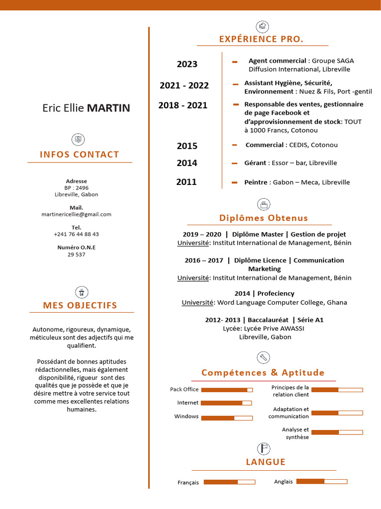 CV d'Eric Ellie Martin - Expérience Pro | PDF