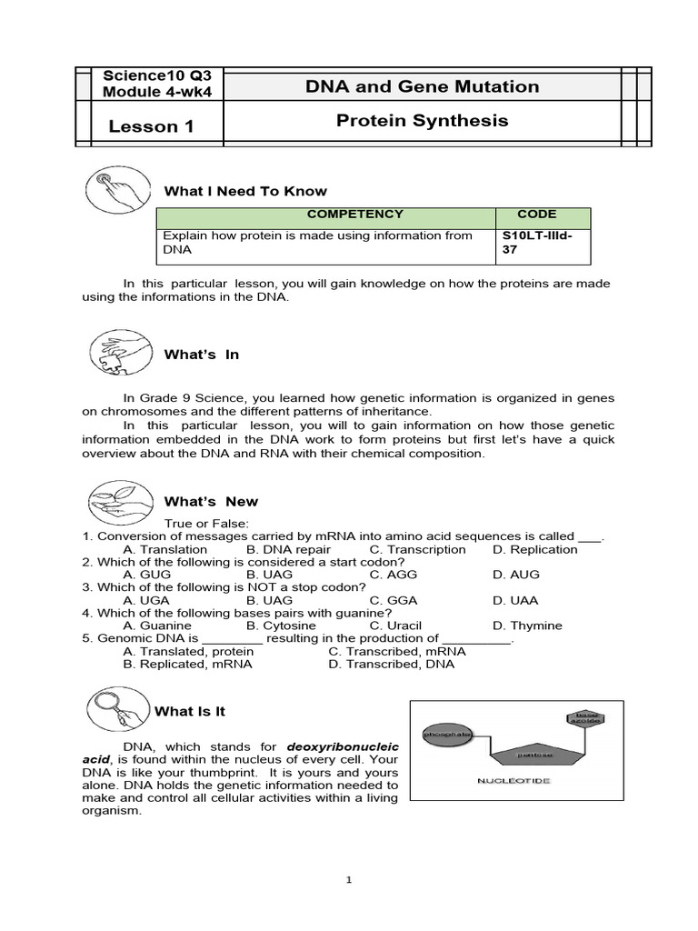Science-10 Q3 Module-4 Week-5 | PDF | Translation (Biology) | Rna