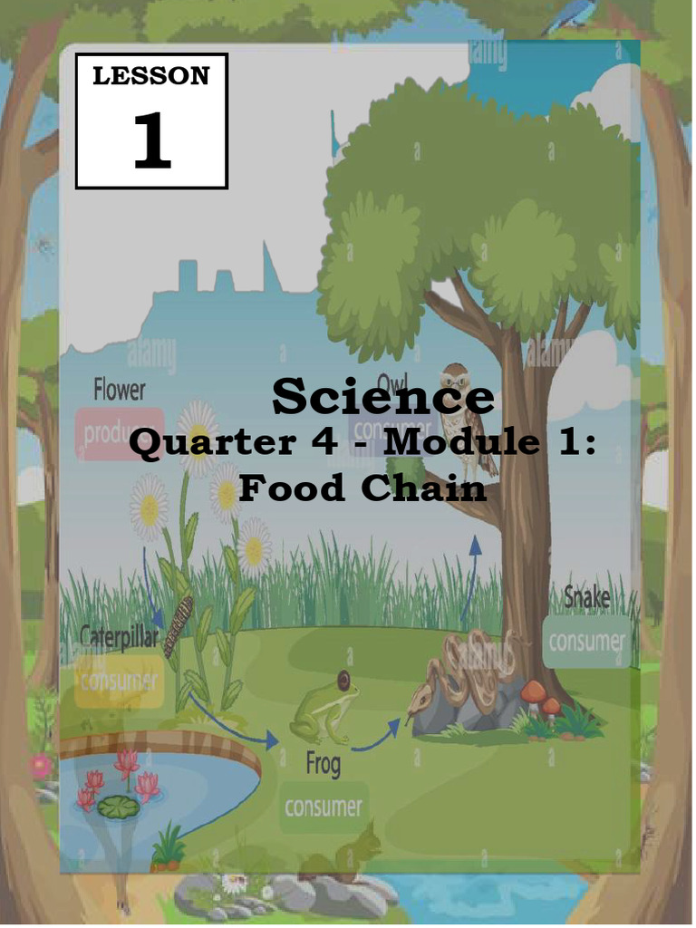 Module - Polley, Raizza Mae S | PDF | Food Web | Systems Ecology