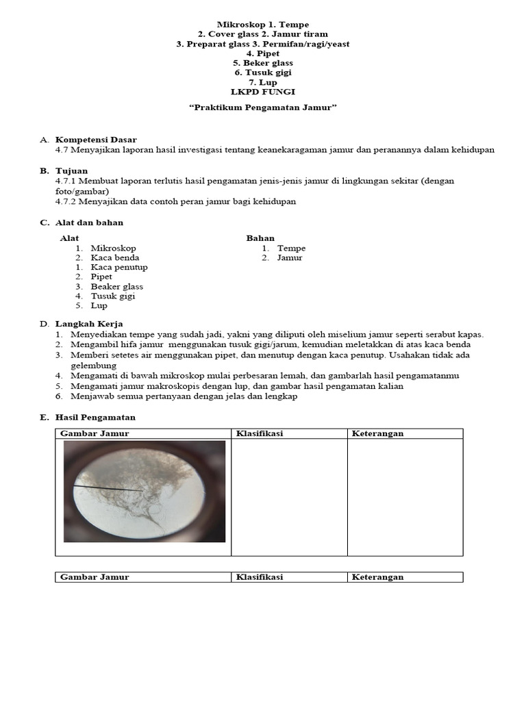 LKPD Jamur | PDF
