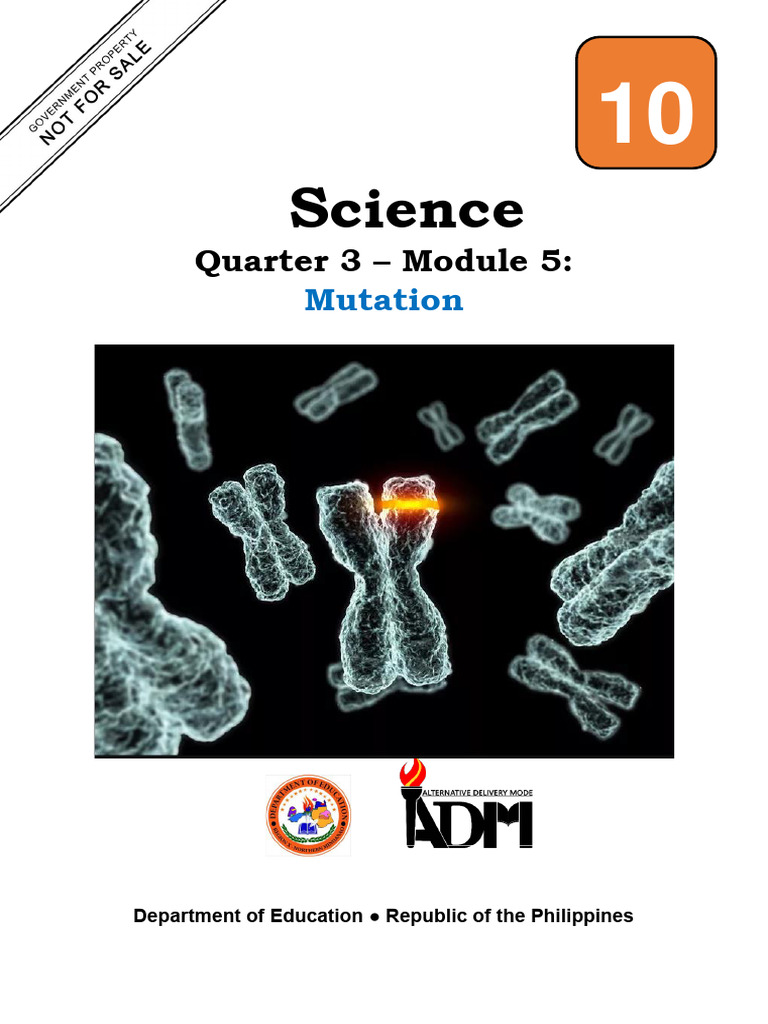 Understanding Gene Mutations | PDF | Point Mutation | Mutation
