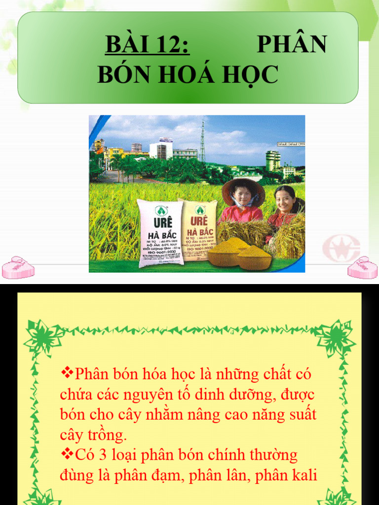 Bai 12 Phan Bon Hoa Hoc | PDF