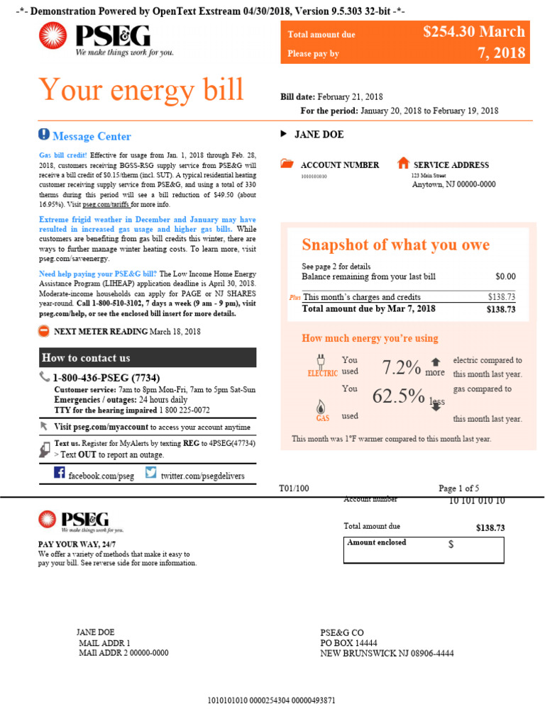 PSE&G Sample Bill Overview | PDF | Gases | Credit Card