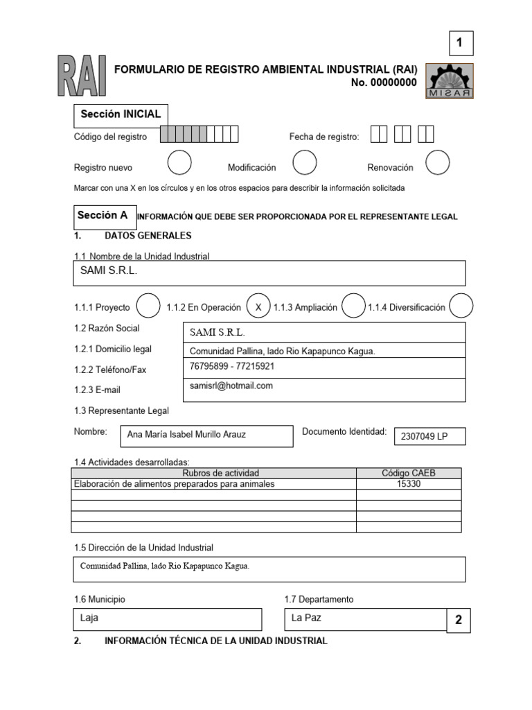 Formulario R.A.I - Sami S.R.L. | PDF | Naturaleza | Materiales