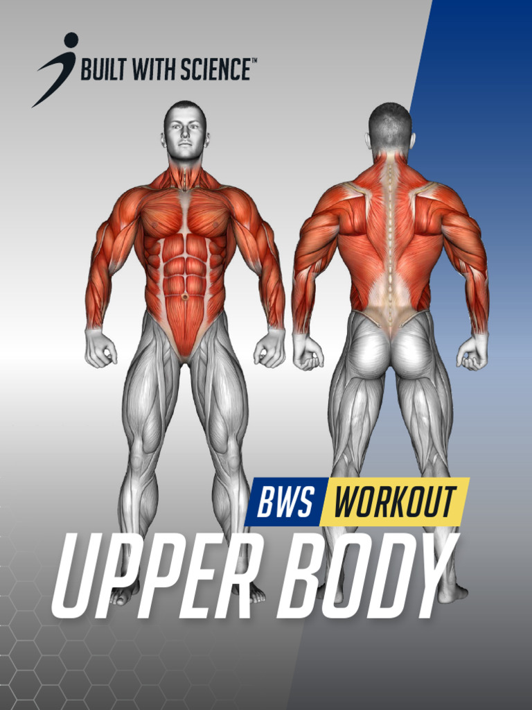 Upper Body Workout Plan PDF | PDF | Elbow | Shoulder