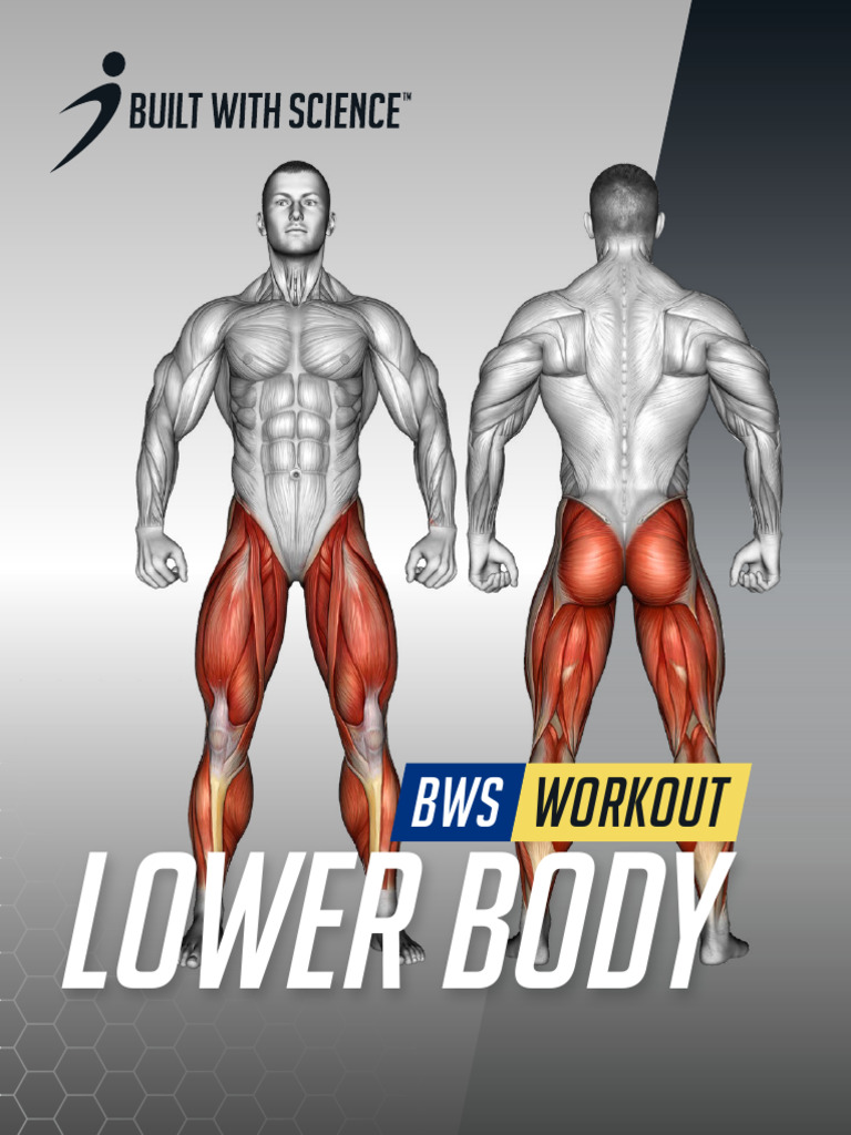 Lower Body Workout Plan by Jeremy Ethier | PDF | Human Anatomy ...