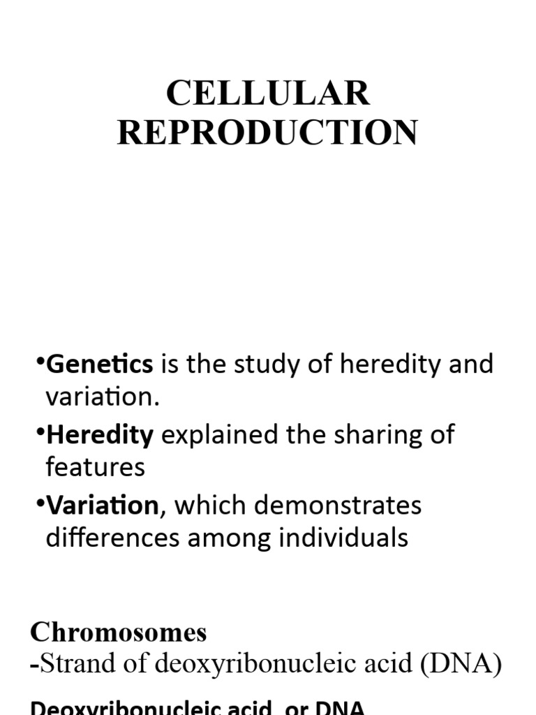 Cellular Reproduction | PDF