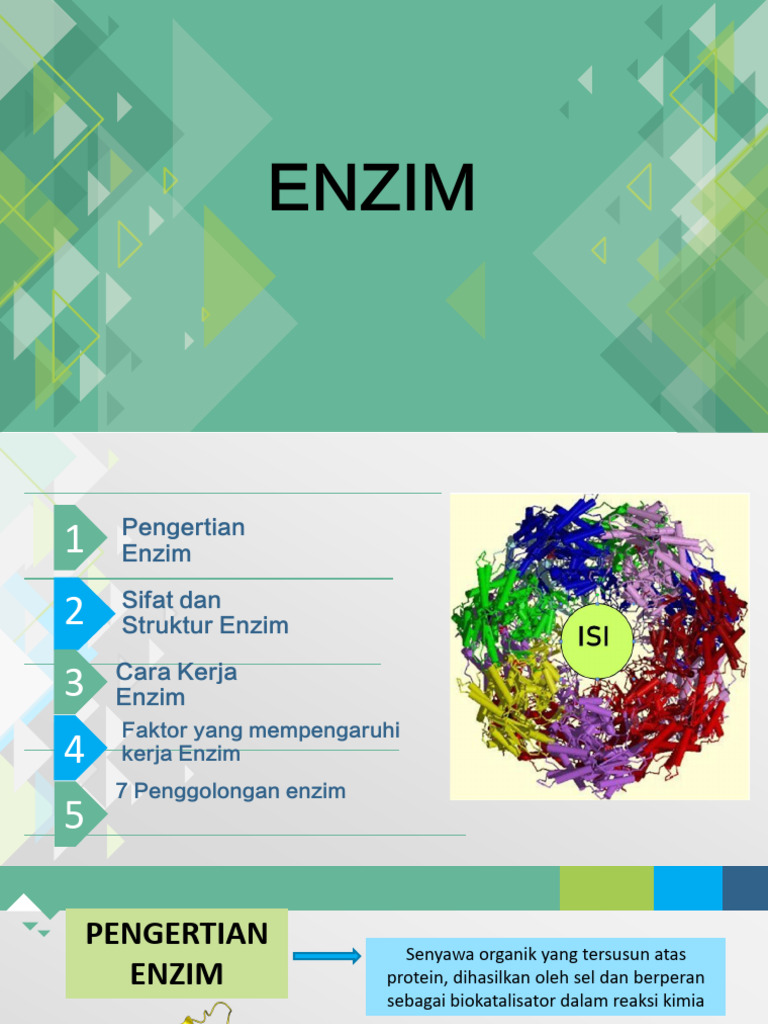 Metabolisme (Enzim) Bagian 1 | PDF