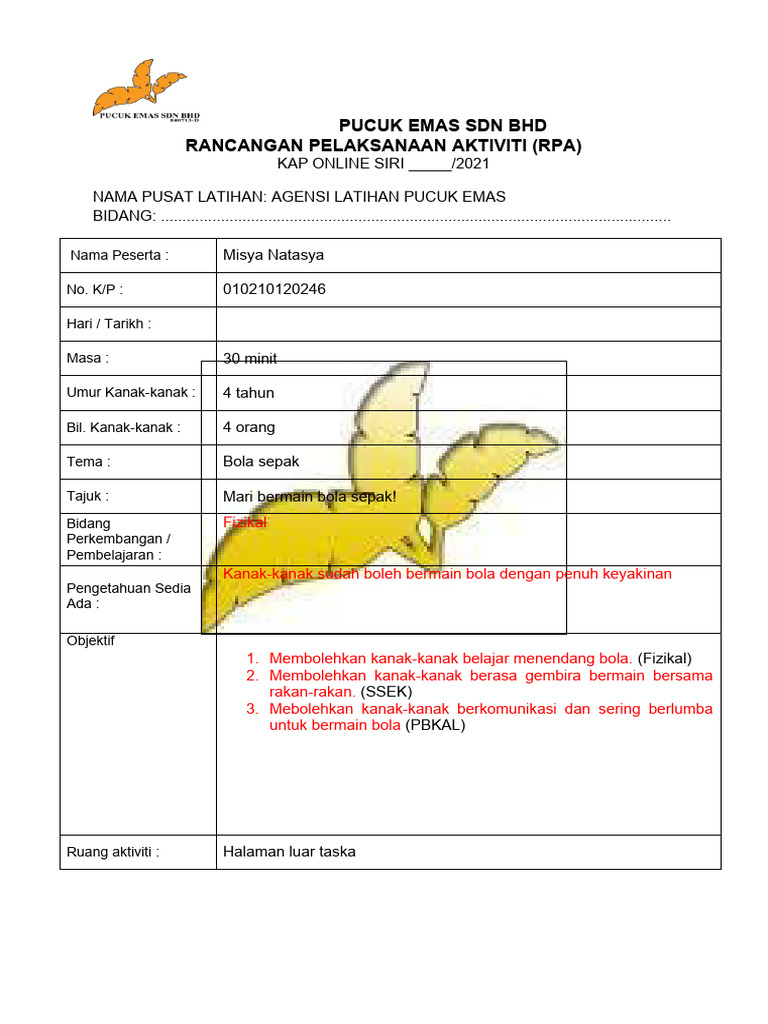 Misya RPA SSEK | PDF