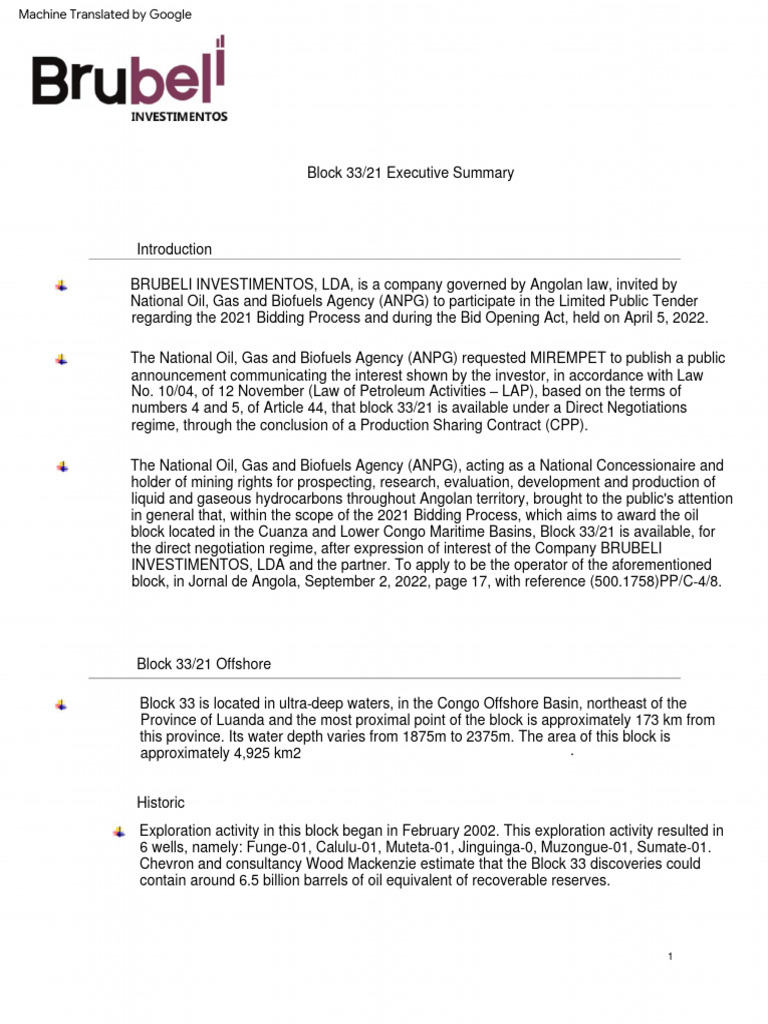 BBIN Bloco 33 Offshore - SumÃ¡rio Executivo | PDF