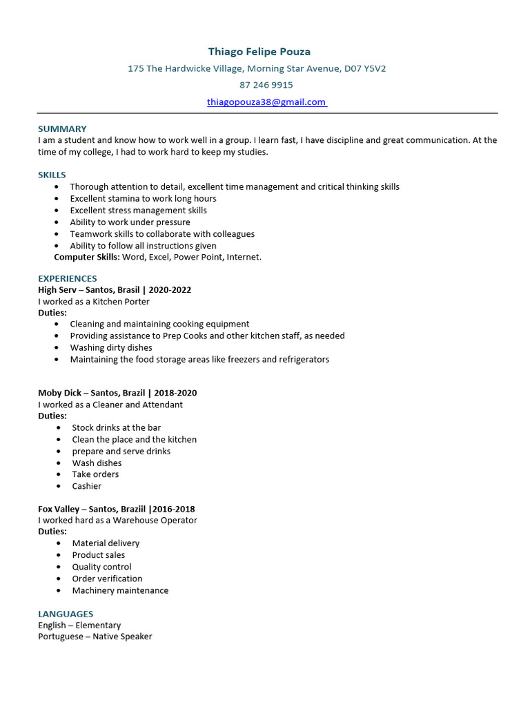 Resume Thiago Felipe | PDF