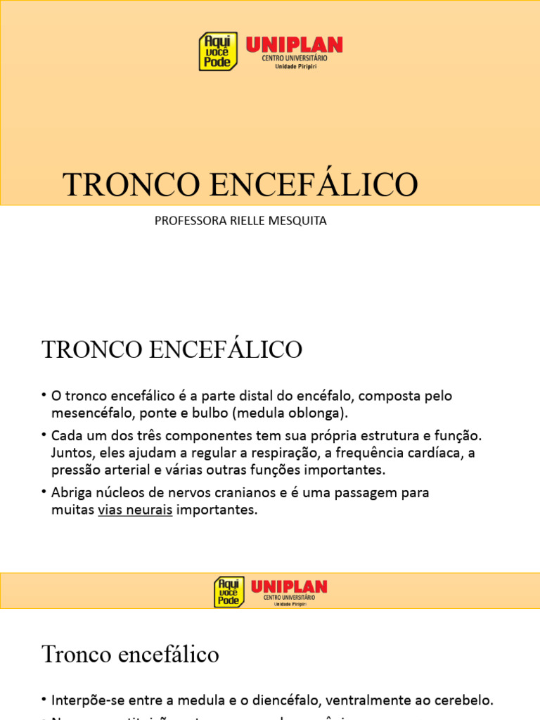 Tronco Encefálico | PDF | Ciências Sociais | Estudos de Línguas Estrangeiras