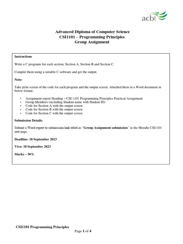 CSI1101 Group Assignment | PDF
