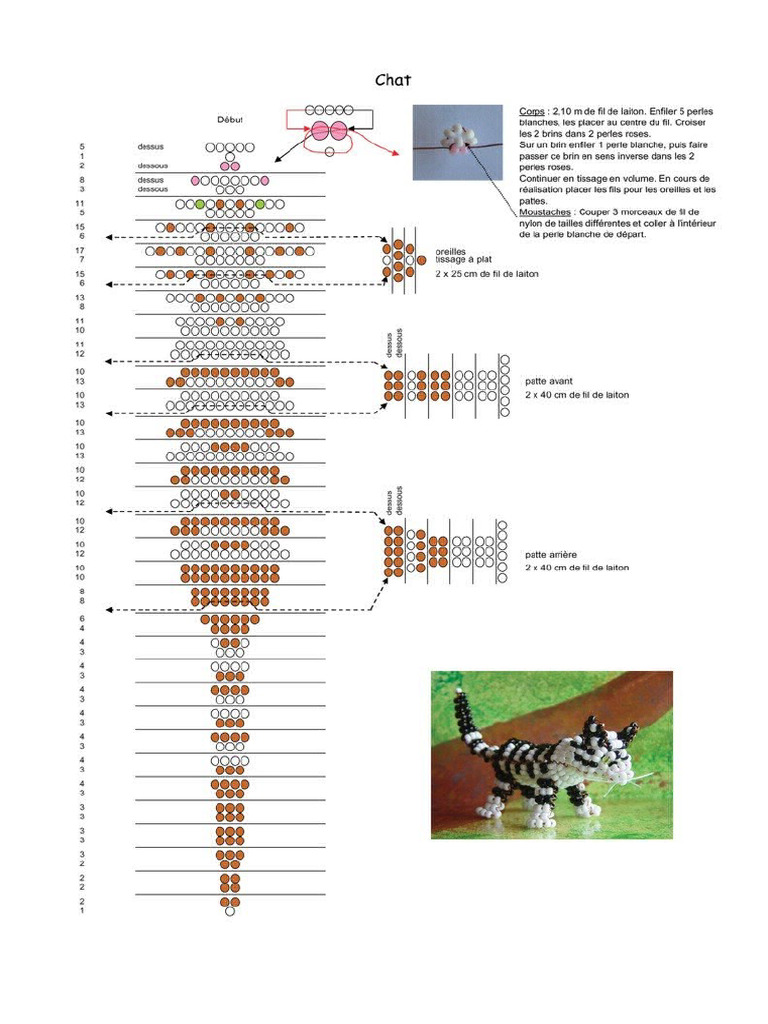 Chat en Perle de Rocailles | PDF