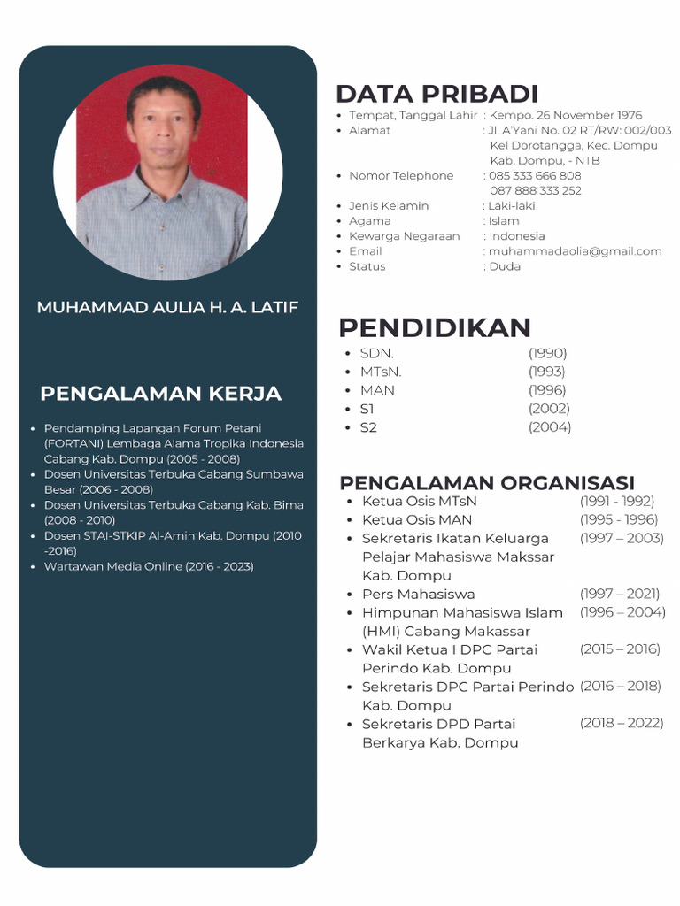 Curriculum Vitae Bang Aulia | PDF