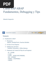 Manual de Sap PDF | PDF