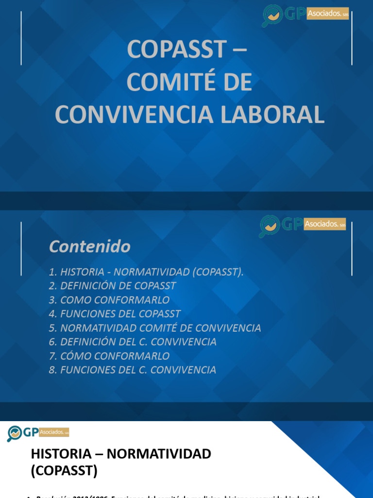 Copasst - Comité Convivencia Laboral | PDF