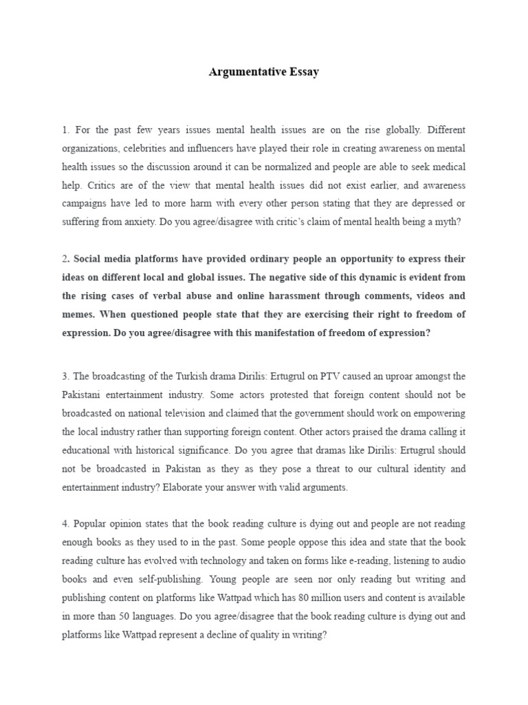 Argumentative Essay | PDF | Reason | Hatred