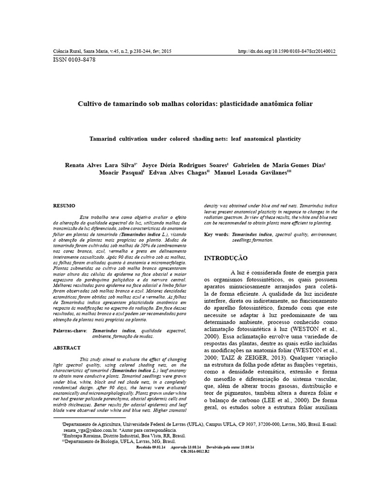 Tamarindo Ciencia Rural 0001 2023 | PDF | Folha | Estoma