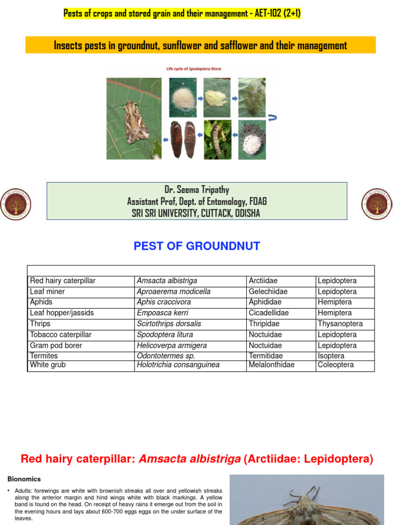 Lecture 8 & 9 | PDF | Pupa | Lepidoptera