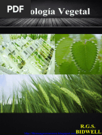 Atlas Anatomia Vegetal | PDF | Tallo de la planta | Biología Celular)