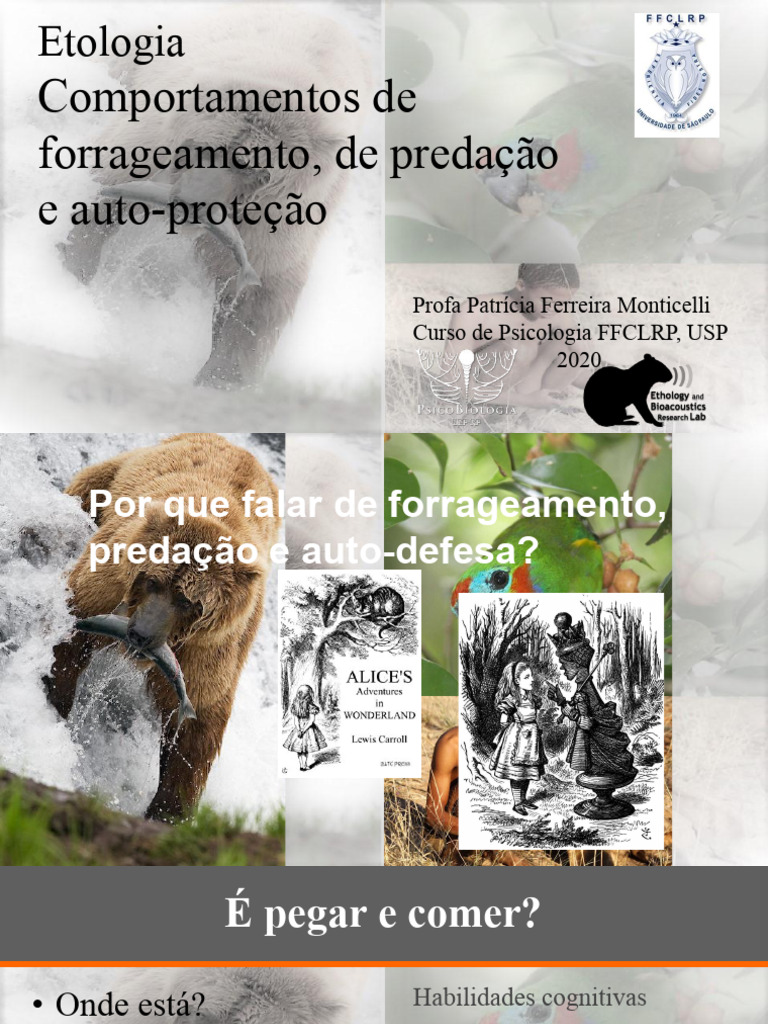 Comportamentos de Forrageamento e Predação | PDF | Mimetismo ...