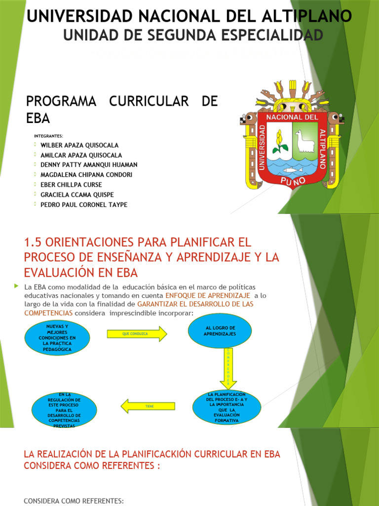 Programa Curricular de Eba | PDF | Aprendizaje | Evaluación