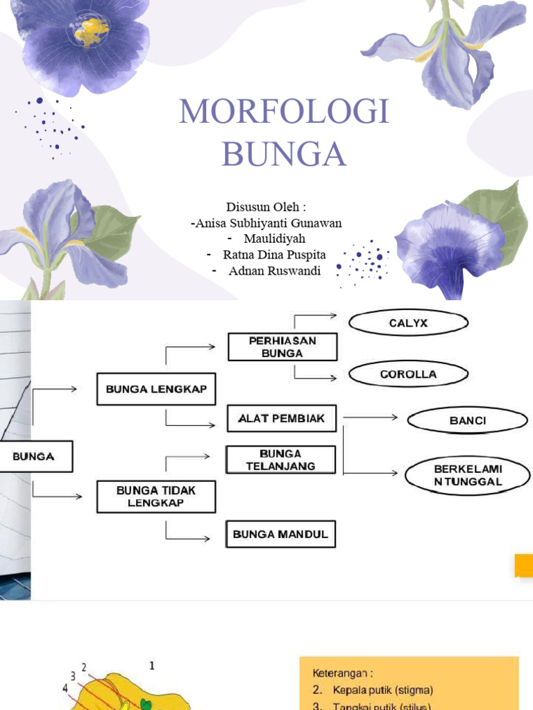 Morfologi Bunga Pdf Microsoft Power Point Communication Design
