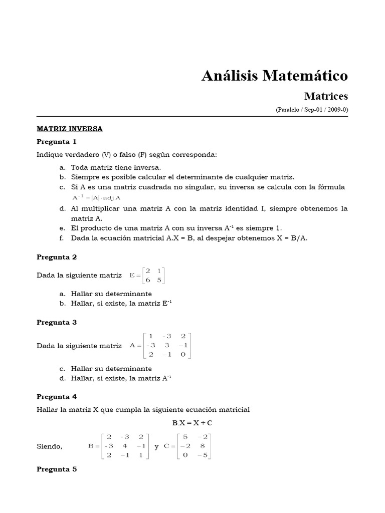 Sep 01 Matrices | PDF | Matriz (Matemáticas) | Determinante