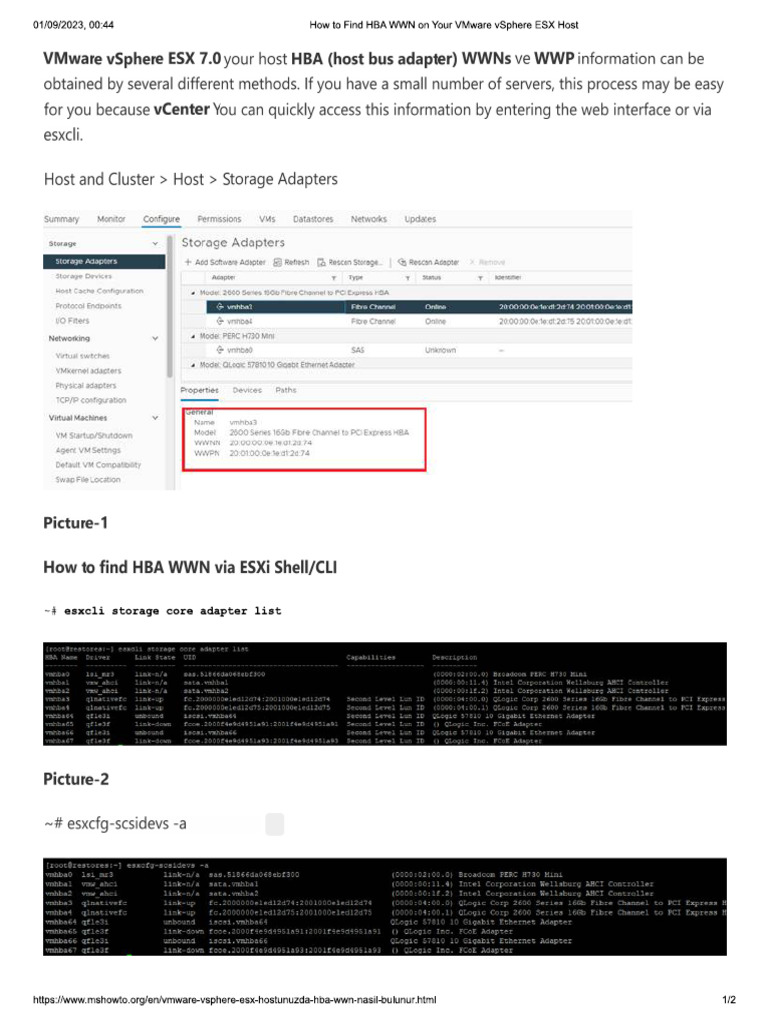How To Find HBA WWN On Your VMware Vsphere ESX Host | PDF