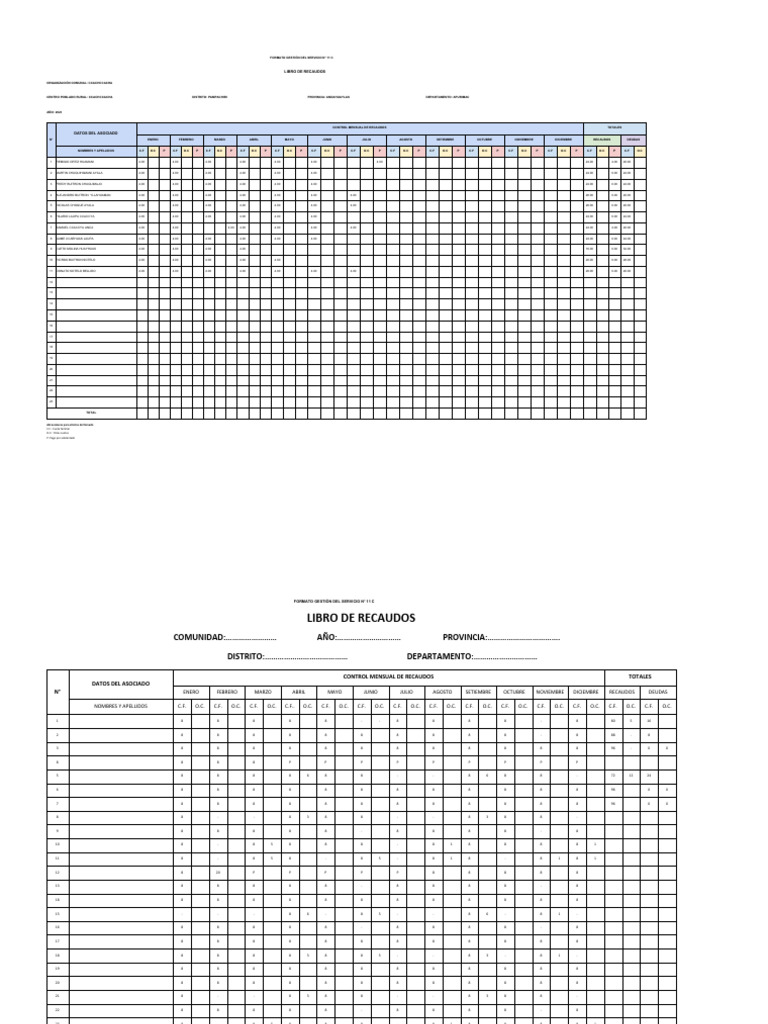 FGS #11 C - Libro de Recaudos CCACHCCACHA | PDF