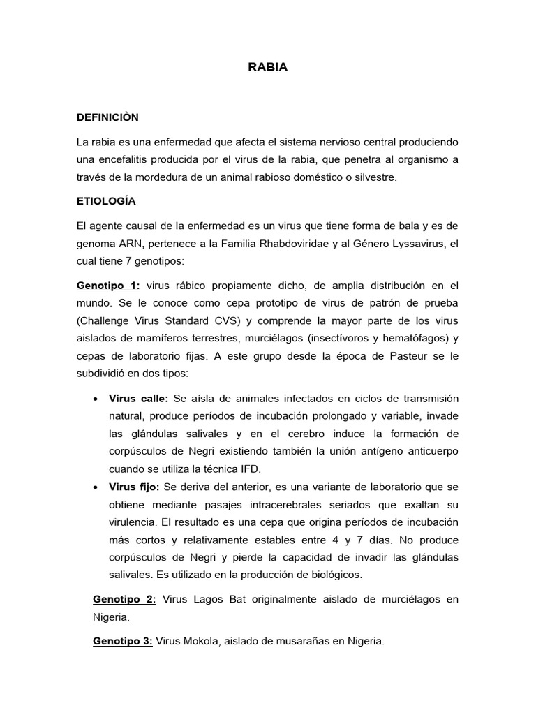 Rabia Informe | PDF | Rabia | Virus