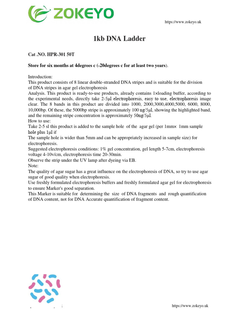 1kb Dna Ladder HPR 301 50t | PDF | Science & Mathematics