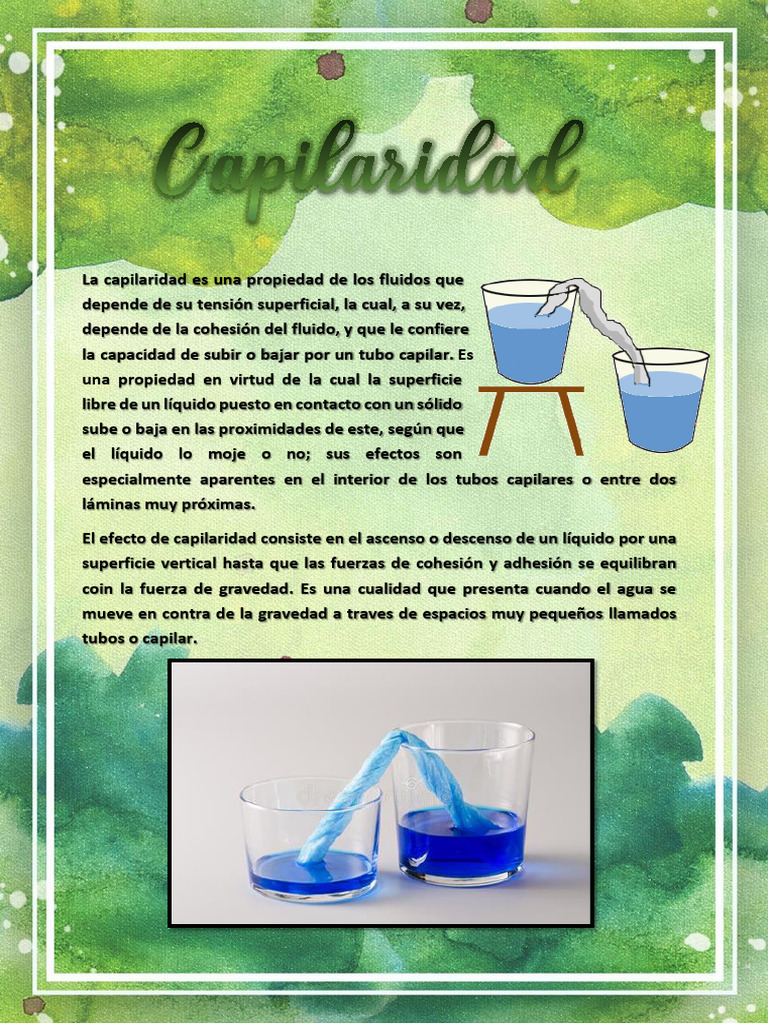 Capilaridad | PDF | Propiedades del agua | Presión