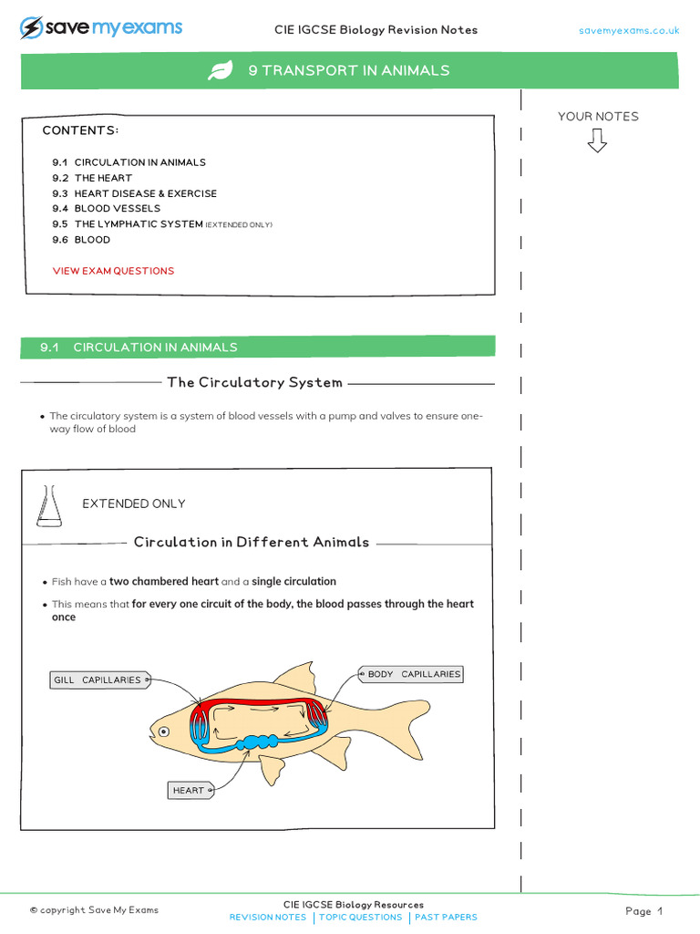 Part1 - CIE IGCSE Biology 9 RN - Sample | PDF | Circulatory System | Heart