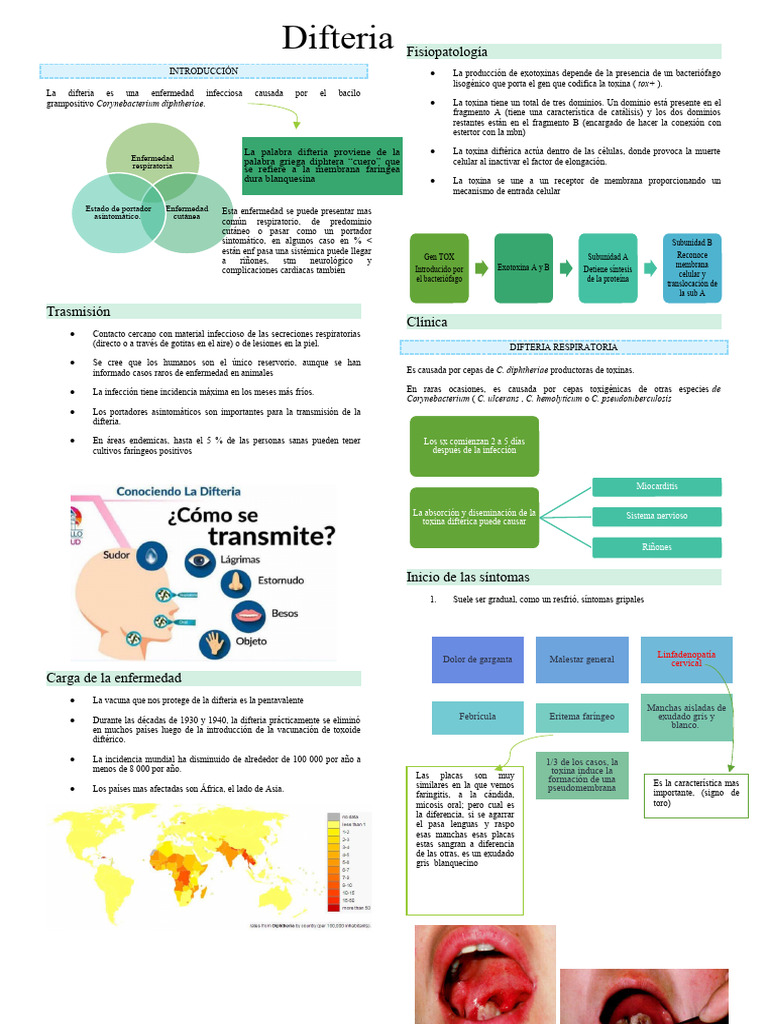 Difteria | PDF | Especialidades Medicas | Causas de la muerte