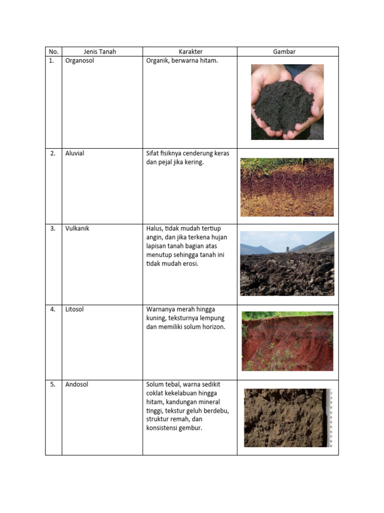 Geografi Jenis Tanah | PDF