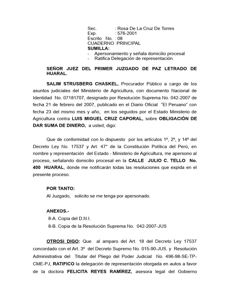 Escrito #01 - Modelo | PDF | Ley Pública | Judicaturas