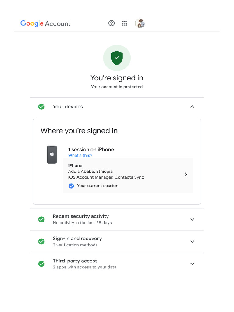 Google Account Security Overview | PDF