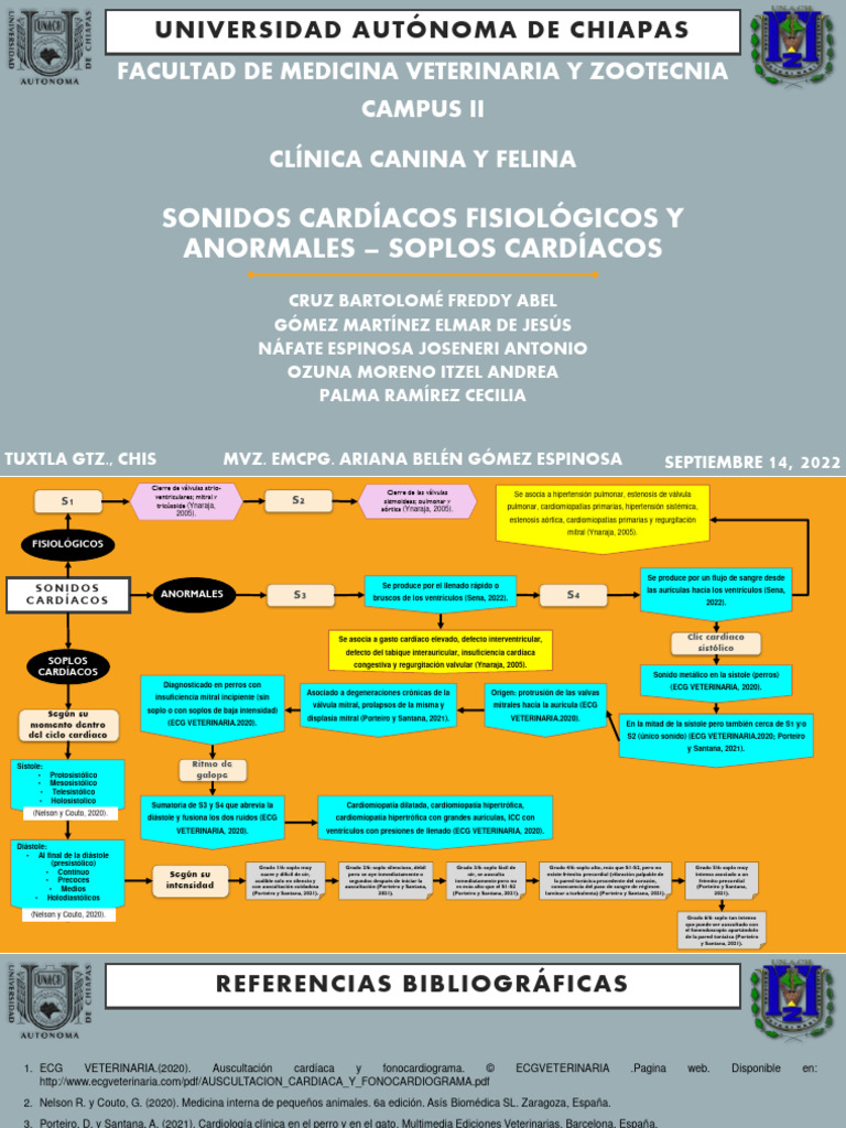 (Equipo 1, 8° A) Diagrama de Flujo - Sistema Cardiovascular | PDF ...