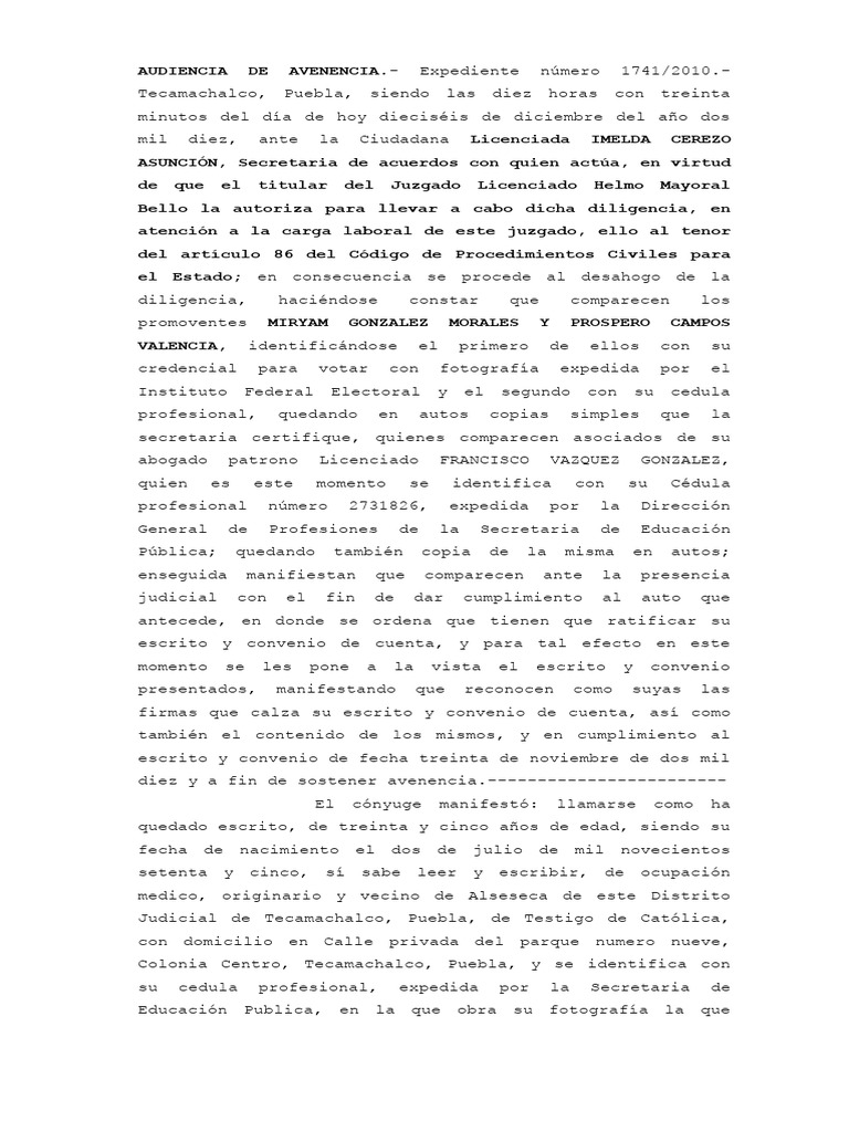 AUDIENCIA DE AVENENCIA Comparecen 2 Partes - Divorcio | PDF | Divorcio ...