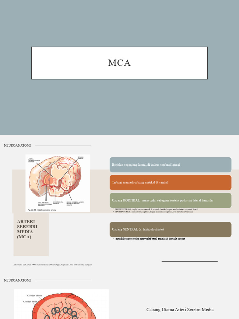 MCA | PDF