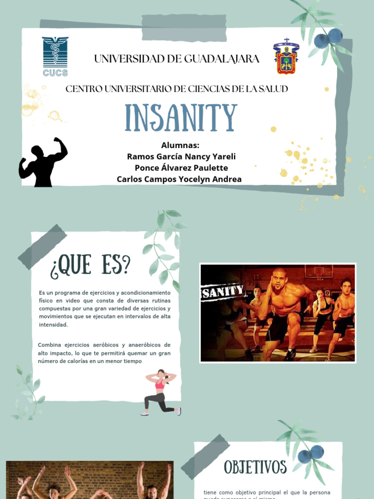 INSANITY | PDF