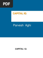 CapitalIQ | Analytics | Databases