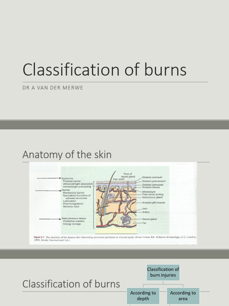 Classification of Burns Discussion (Physiotherapy) | PDF