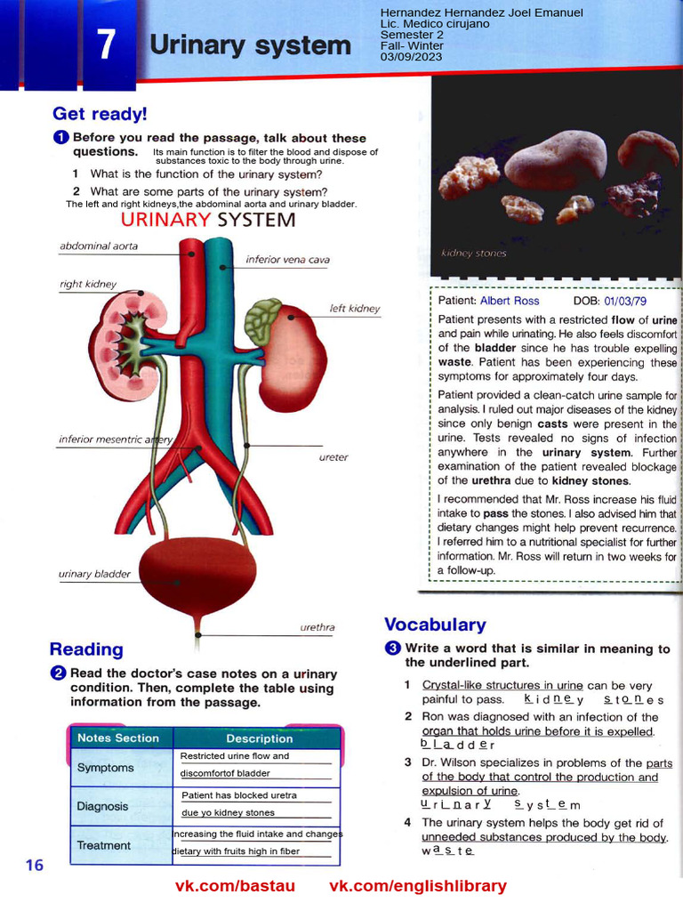 HERNANDEZHERNANDEZJOELEMANUEL - ENGLIS II - Unit 7 - Urinary System ...