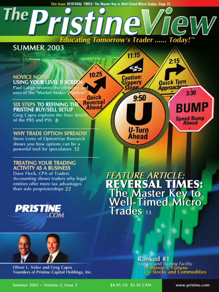 The Pristine View | PDF | Option (Finance) | Stocks